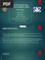 Guía para ser Emisor Electrónico | PDF | Contribuyente | Informática