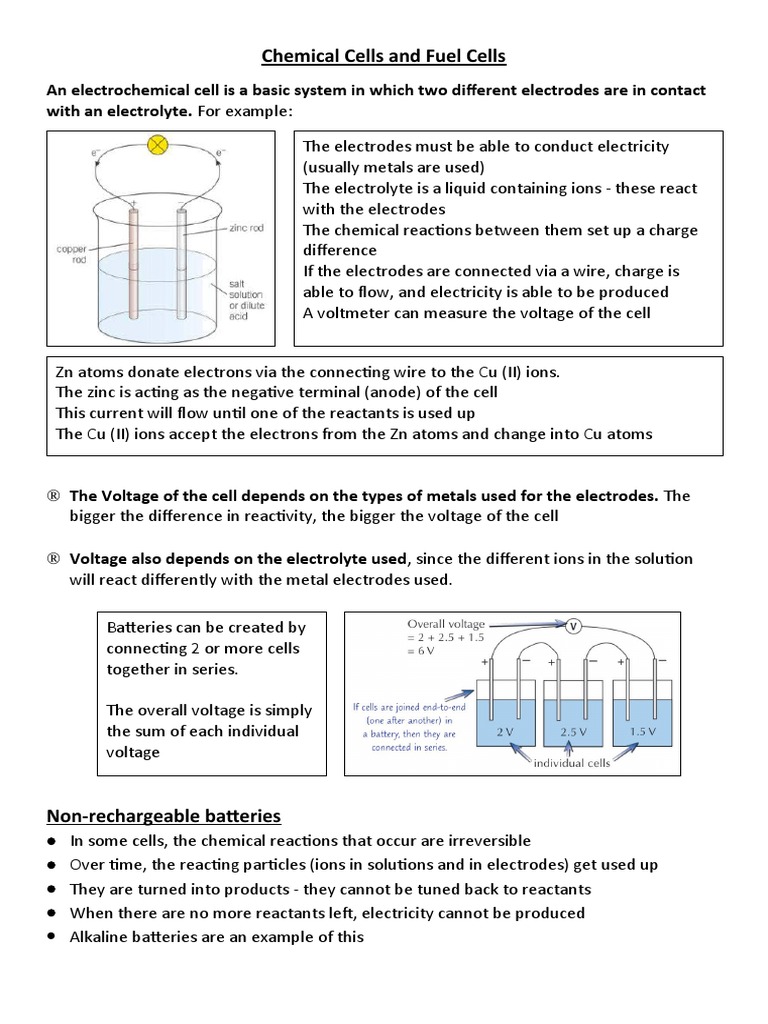 Chemical Cells and Fuel Cells | PDF | Fuel Cell | Anode