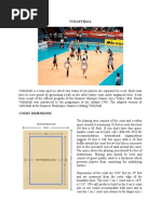 THE HISTORY OF DODGEBALL | PDF | Games Of Physical Skill | Ball Games