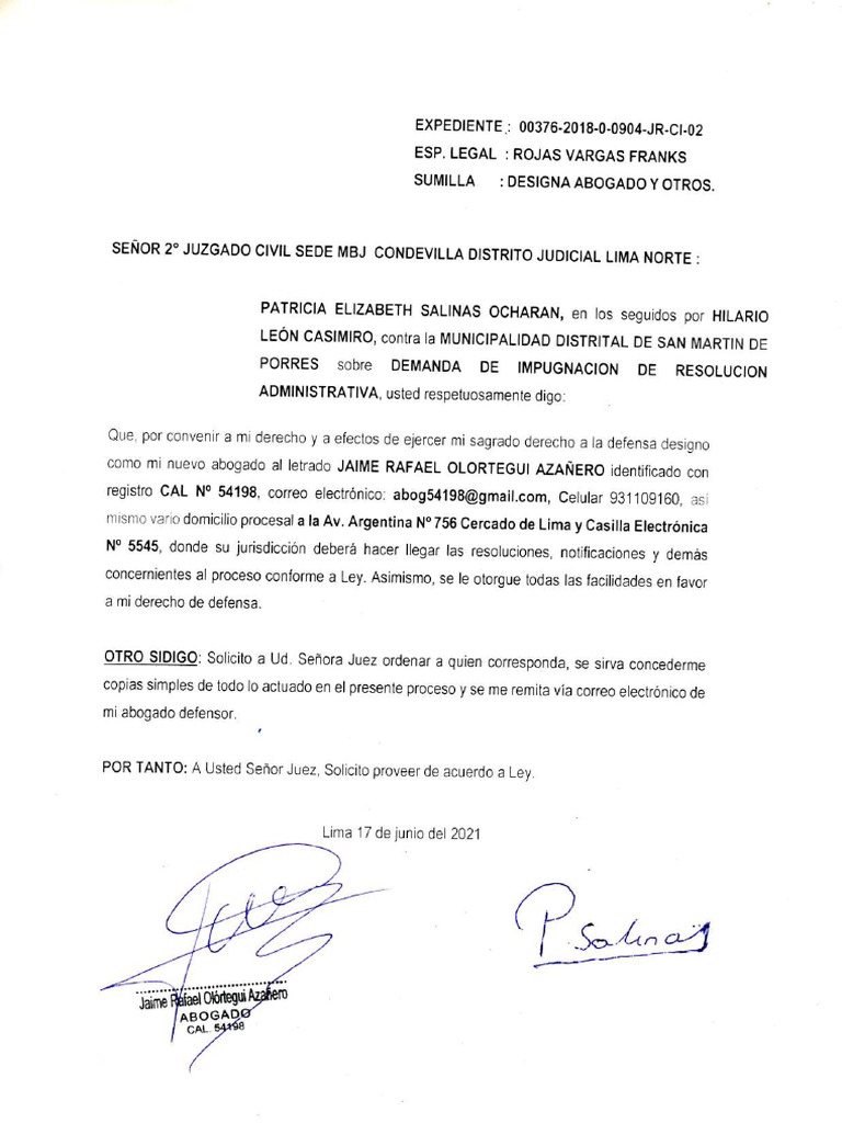 Designa Abogado y Otro | PDF