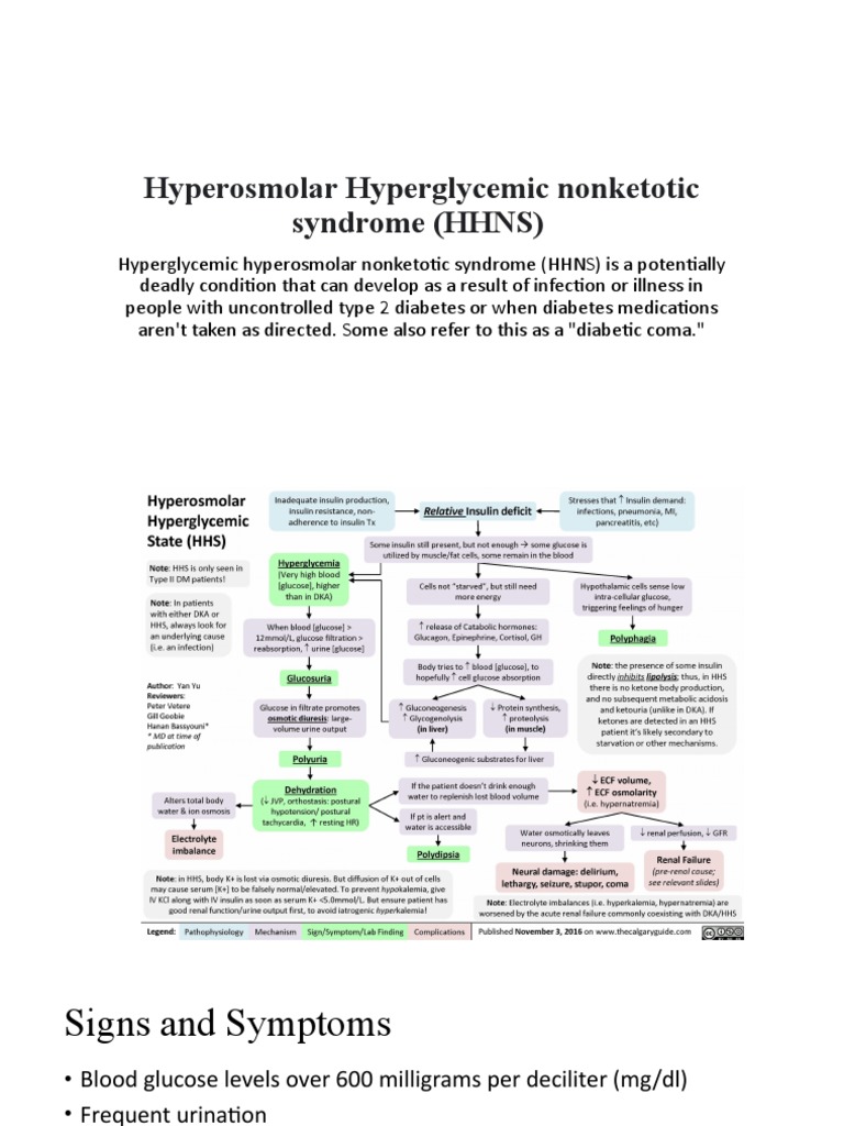 Hyperosmolar Hyperglycemic Nonketotic Syndrome HHNS | PDF | Intravenous ...