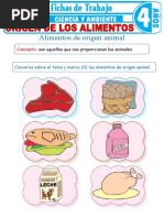 Ficha - Alimentos Nutritivos y No Nutritivos | PDF