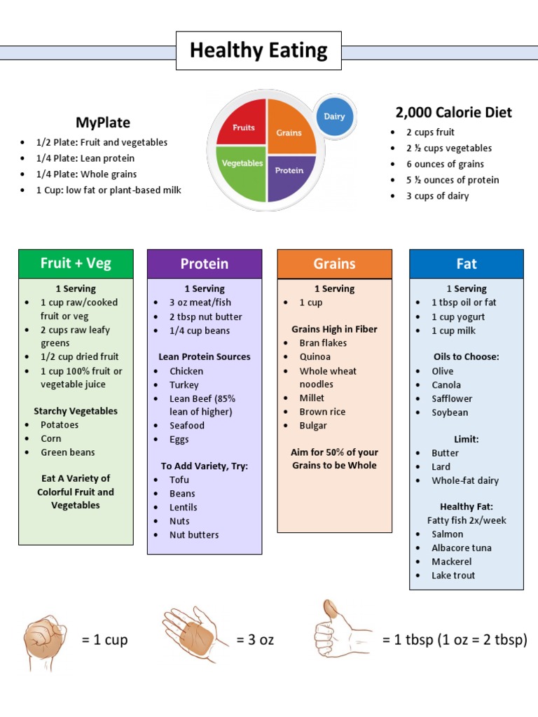 Myplate | Download Free PDF | Grain | Vegetables