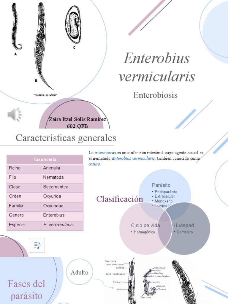 Enterobius Vermicularis | PDF | Inmunología | Especialidades Medicas