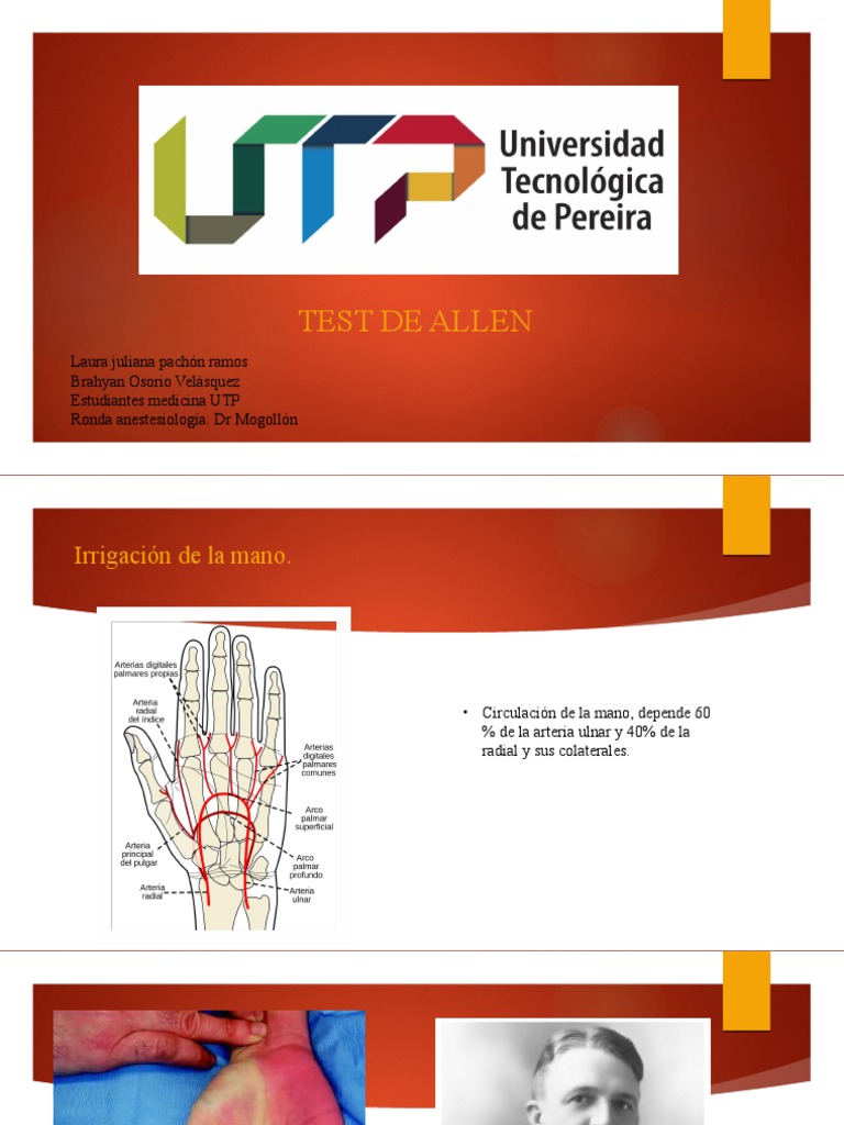 Presentación Test de Allen | PDF