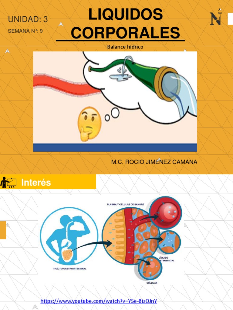 Líquidos Corporales | PDF | Edema | Anatomía