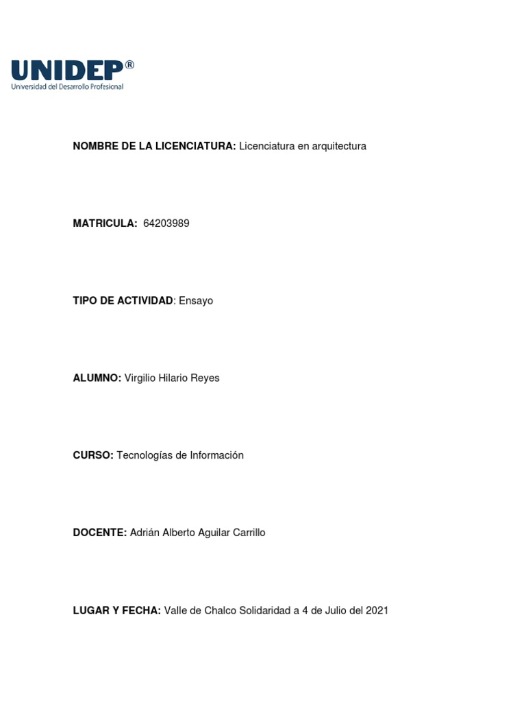 Ensayo Base de Datos | PDF | Bases de datos | Edad de información