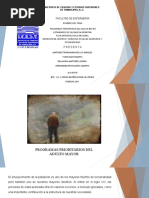 ESCALA DE ARMSTRONG (Todas Las Cat) | PDF