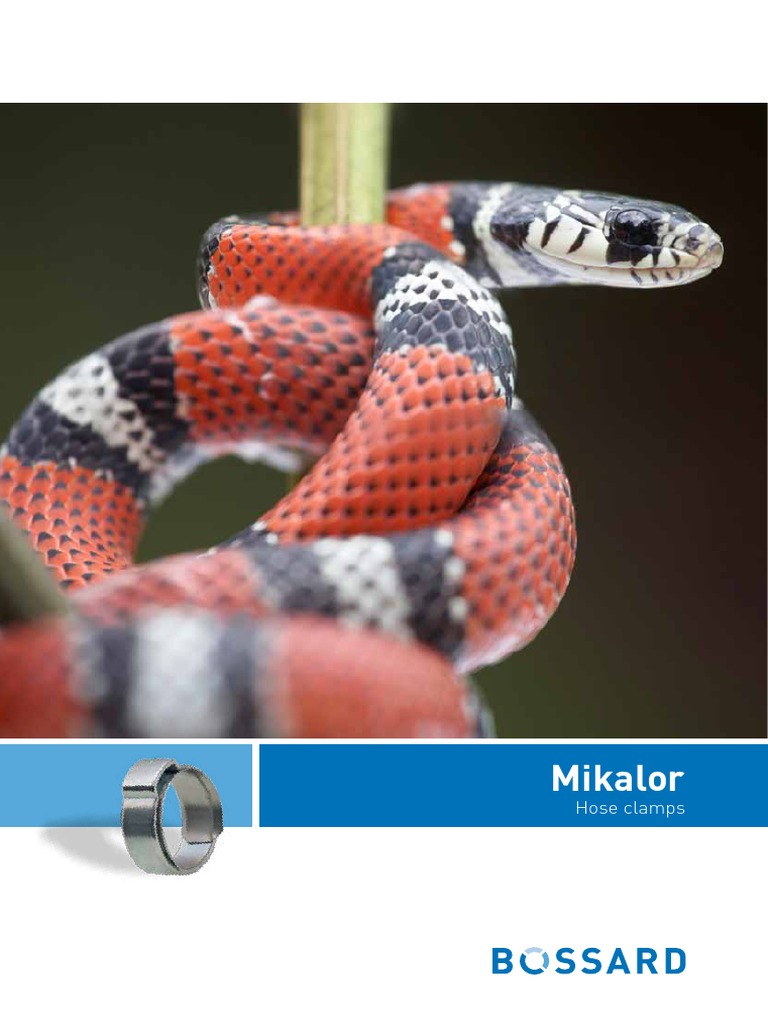 Mikalor: Hose Clamps | PDF | Mechanical Engineering | Manufactured Goods