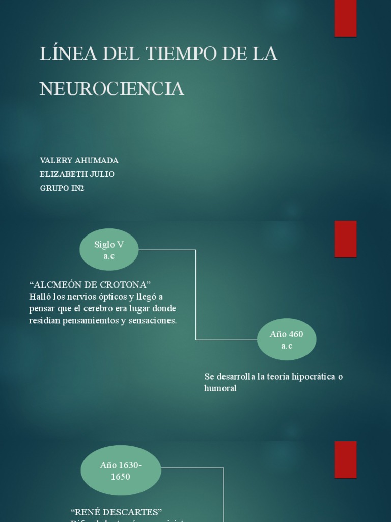 Línea Del Tiempo de La Neurociencia | PDF | Neurociencia | Cerebro