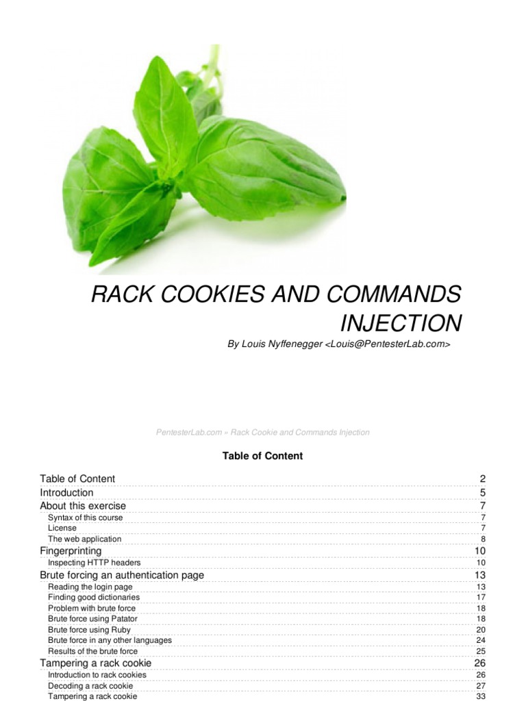Rack Cookies and Commands Injection | PDF | Http Cookie | Hypertext ...