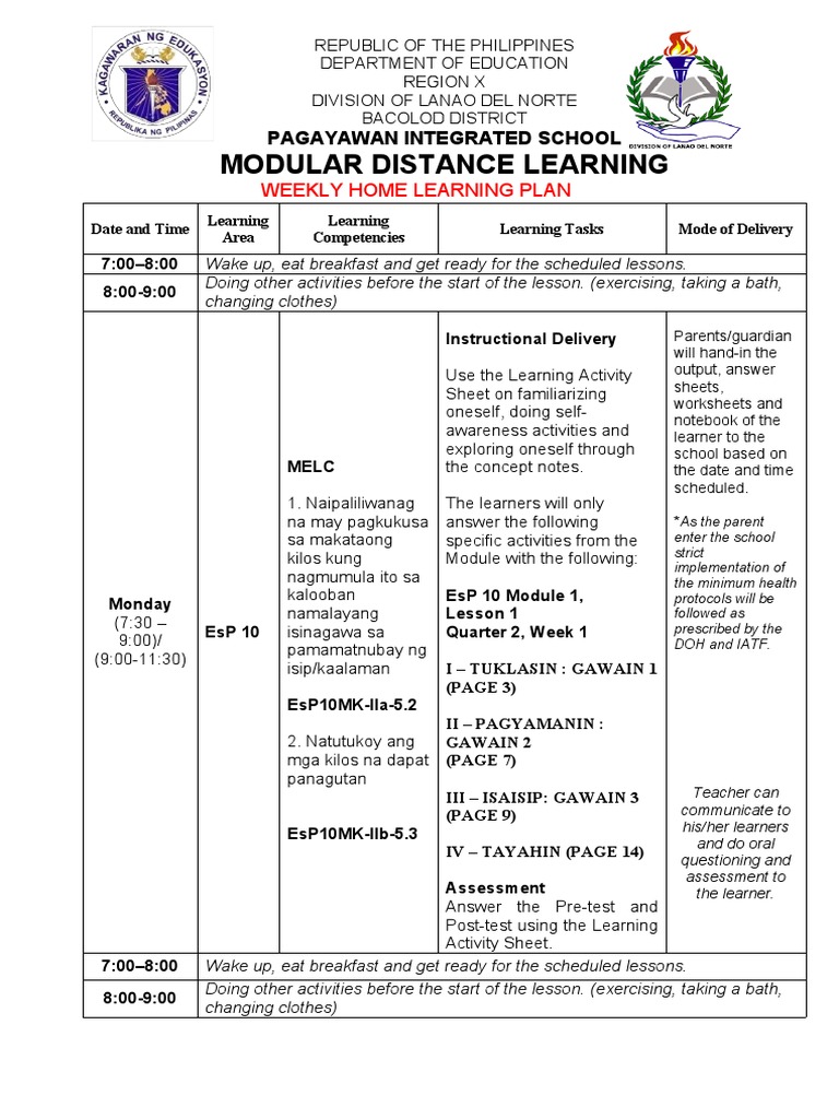 Modular Distance Learning: Weekly Home Learning Plan | Download Free ...