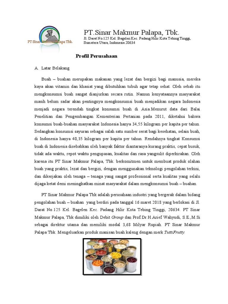 PT Sinar Makmur Palapa TBK | PDF