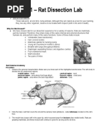Rat Dissection Pre-Lab Guide | PDF | Self-Improvement | Wellness