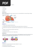 Latihan Soal Sel Hewan Dan Sel Tumbuhan IPA Kelas 7 | PDF
