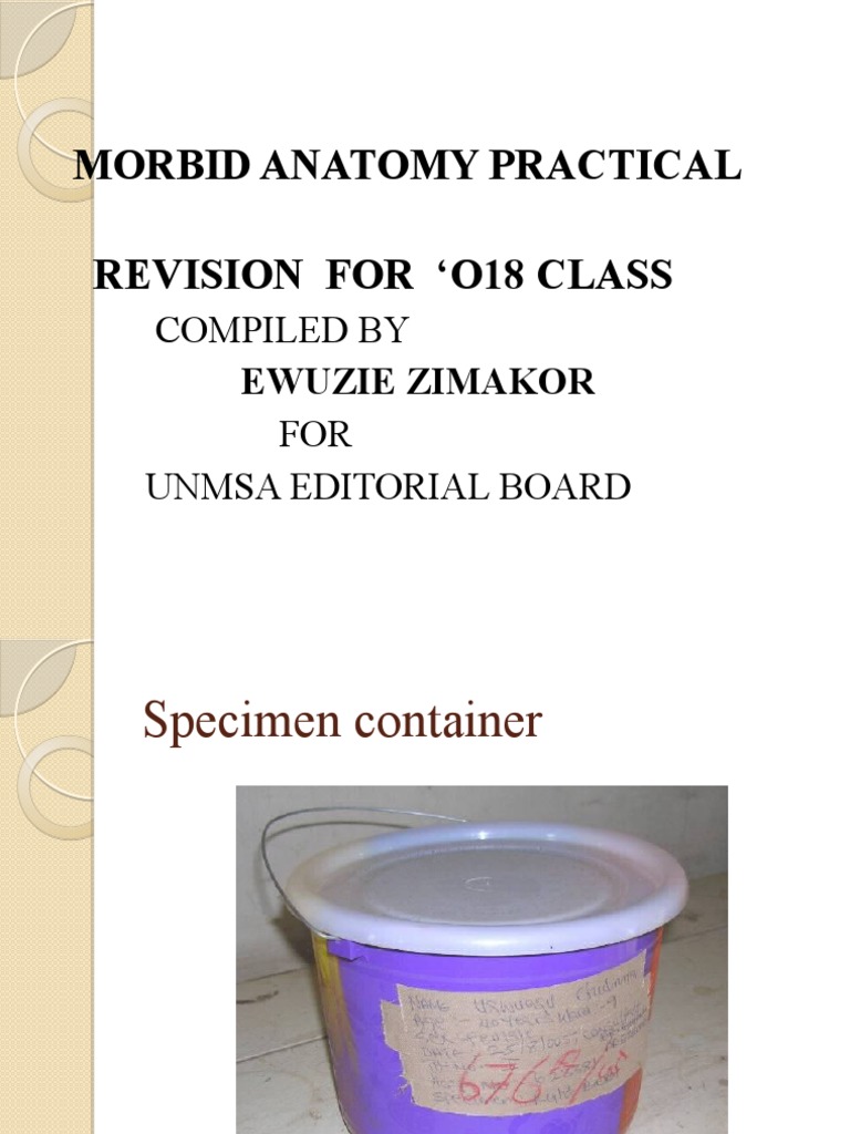 Modified Morbid Anatomy Practical | PDF | Fixation (Histology) | Histology