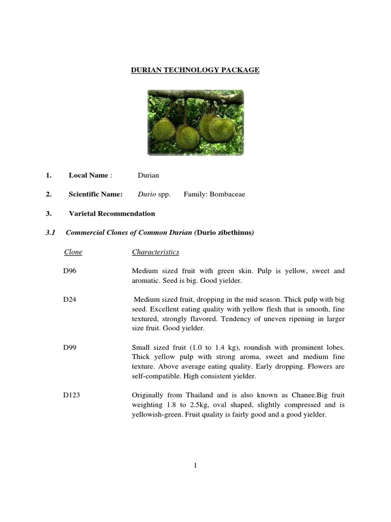 Durian Technology Package: A Comprehensive Guide to Durian Varieties ...