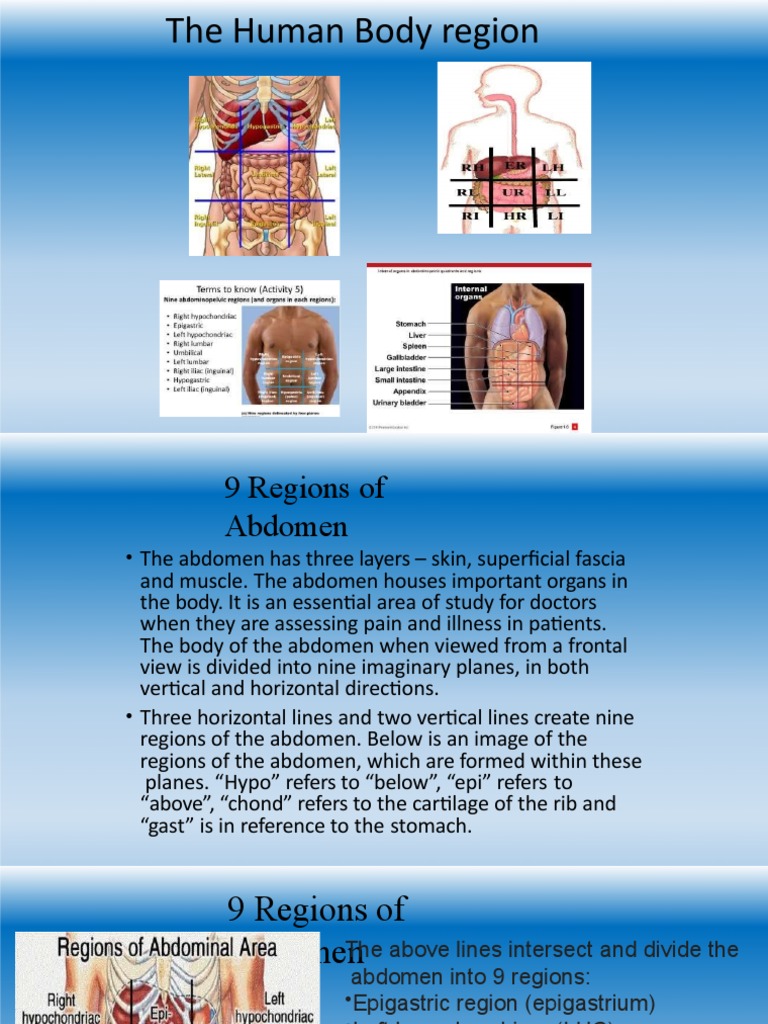 9 Regions Of The Body