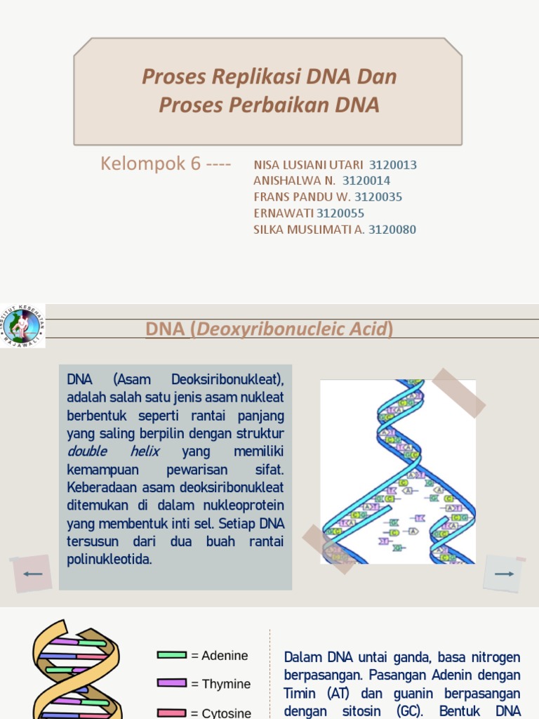 Dna Repair Dan Replikasi | PDF