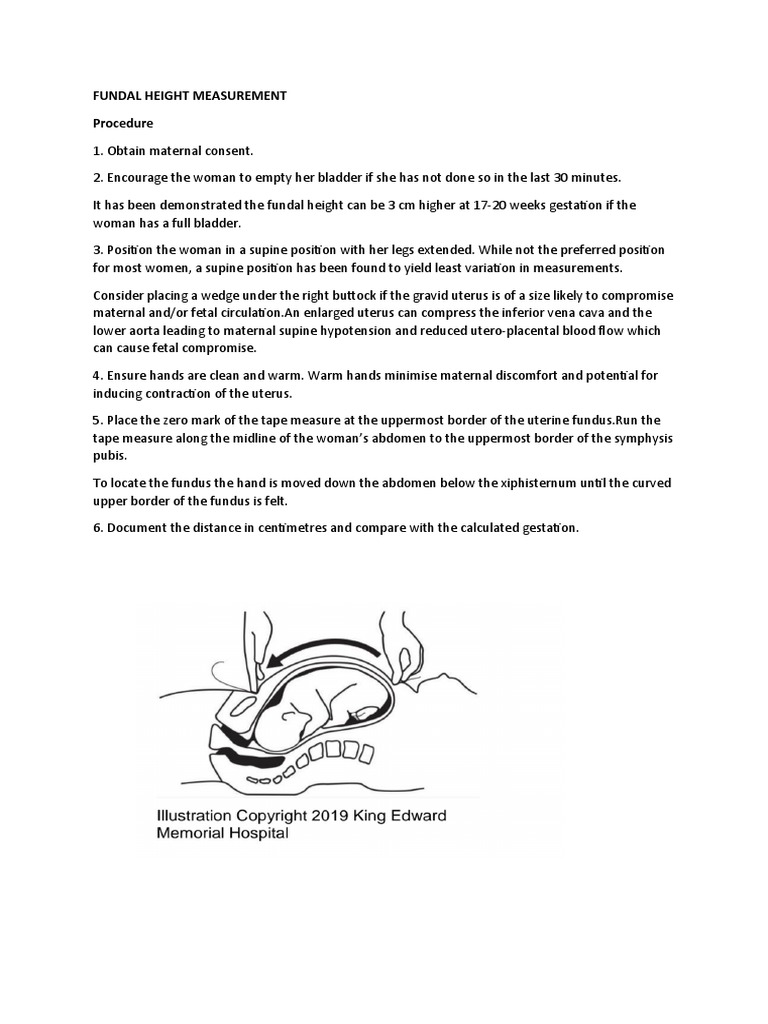 Fundal Height Measurement | PDF