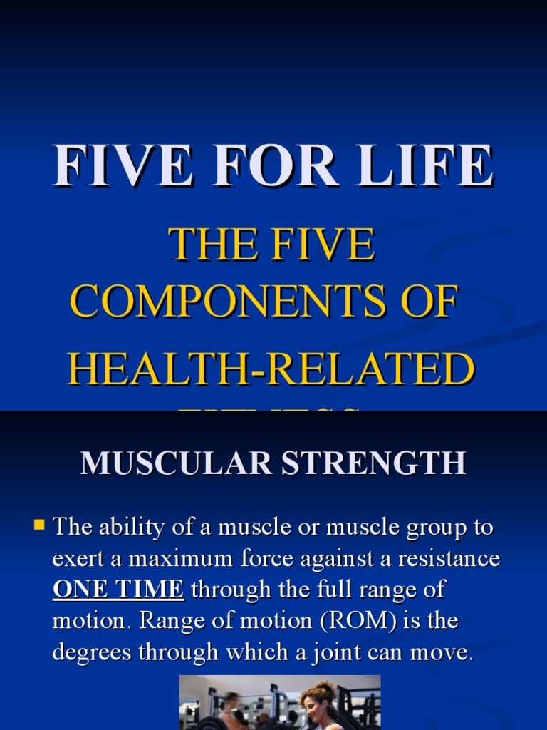 Five Components of Health-Related Fitness | PDF | Muscle Contraction ...