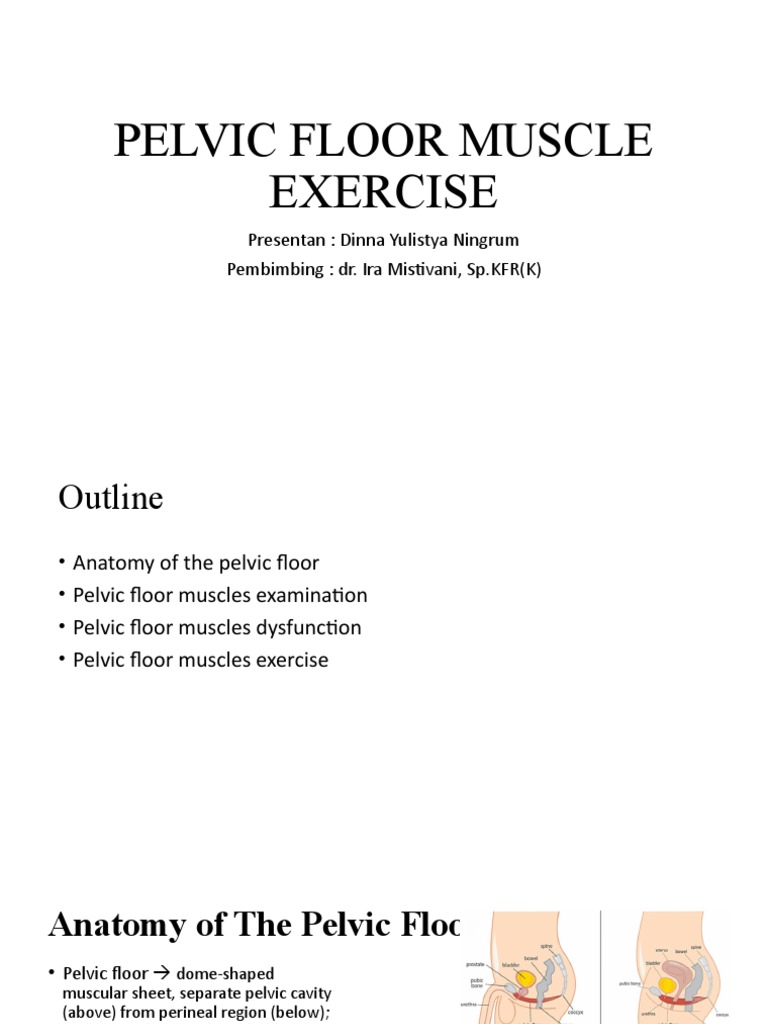 Pelvic Floor Muscle Exercise | PDF | Pelvis | Musculoskeletal System