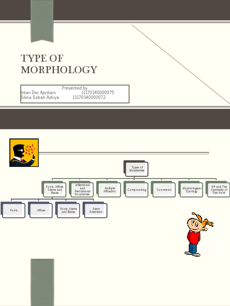 Type of Morphology | PDF | Morphology (Linguistics) | Word