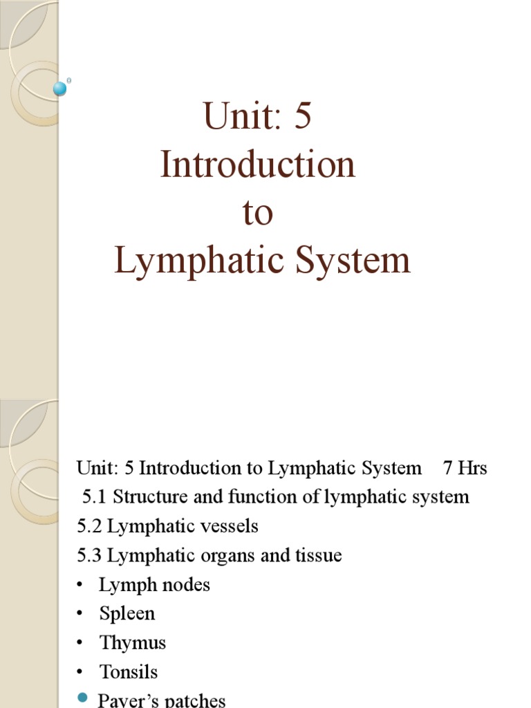 Overview of the Lymphatic System | PDF | Lymph Node | Lymphatic System
