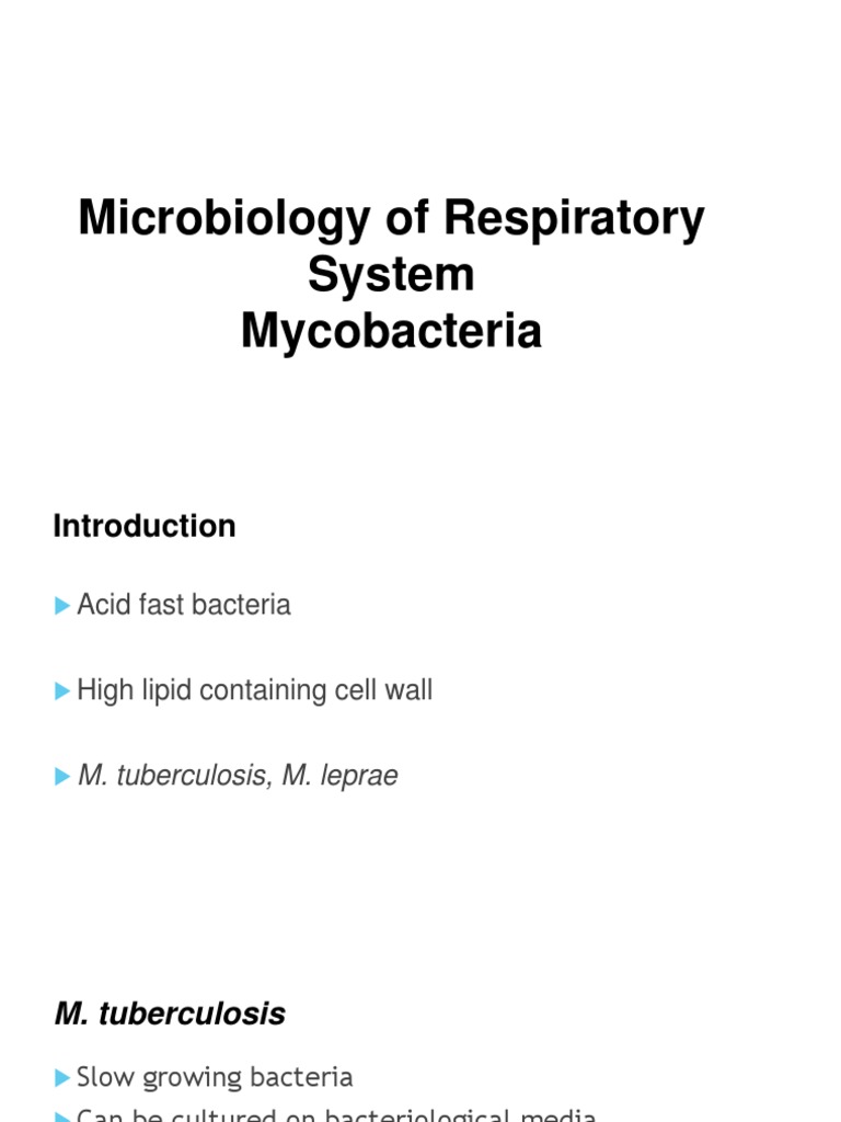 Respiratory System, Mycobacteria | PDF | Self-Improvement
