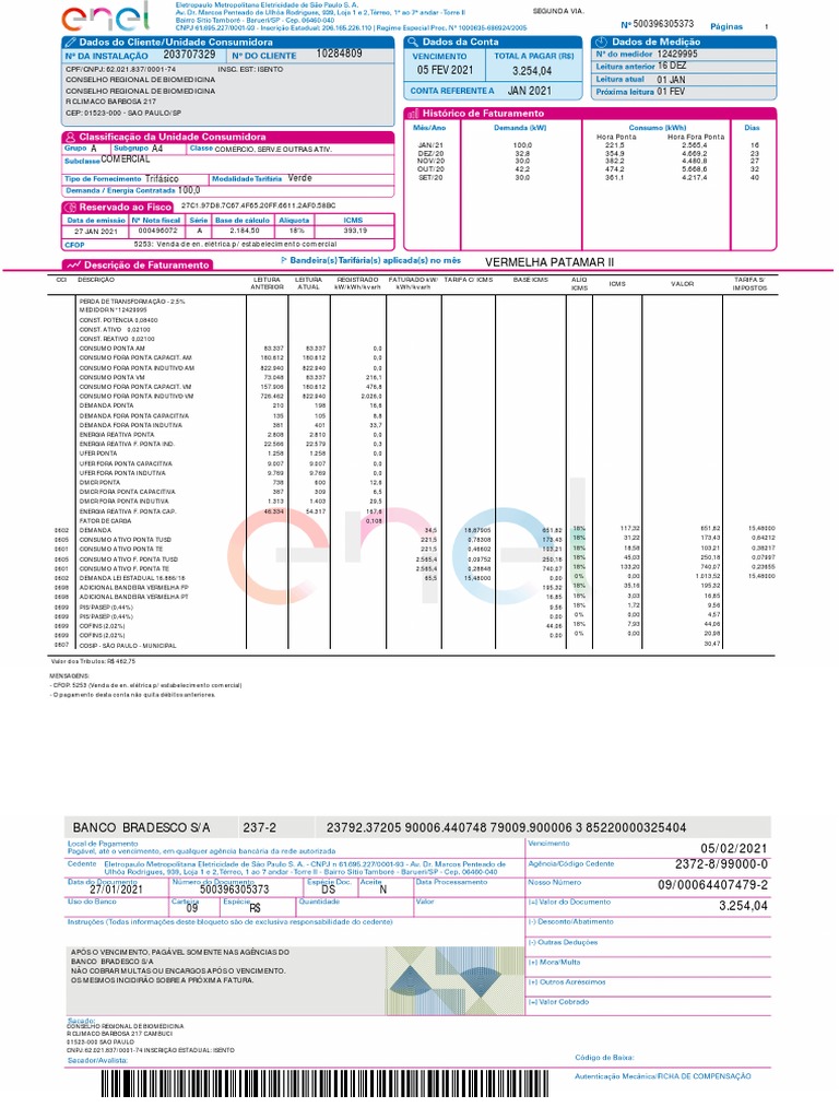 Fatura Grupo A Enel | PDF | Serviço financeiro e de negócios | Natureza