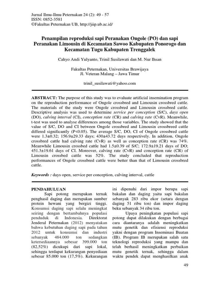 Penampilan Reproduksi Sapi PO Dan Sapi | PDF