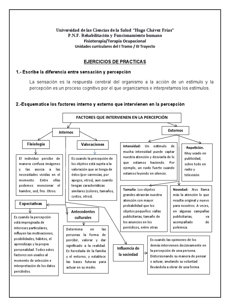 Ejercicios de Practicas | PDF | Las emociones | Percepción