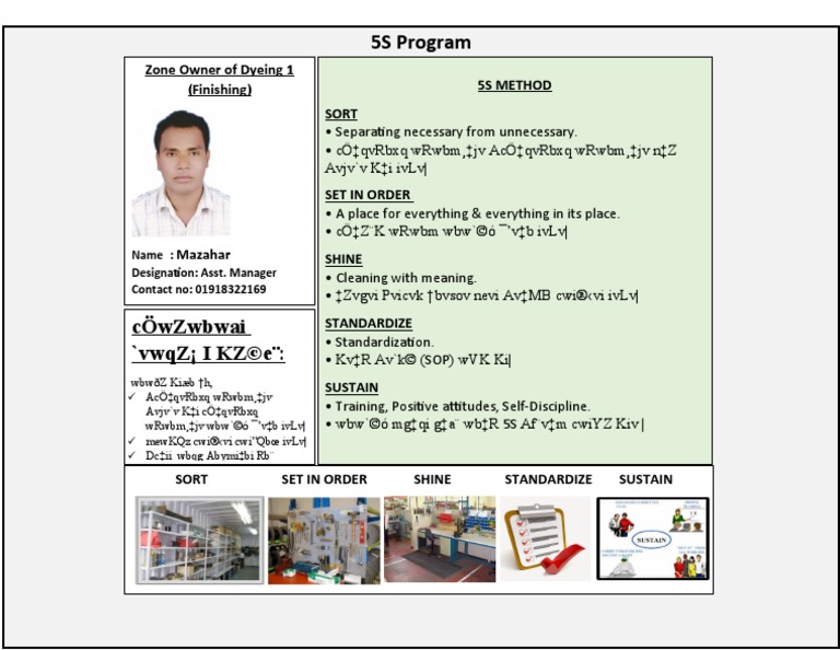 5S Methodology Overview and Guidelines | PDF