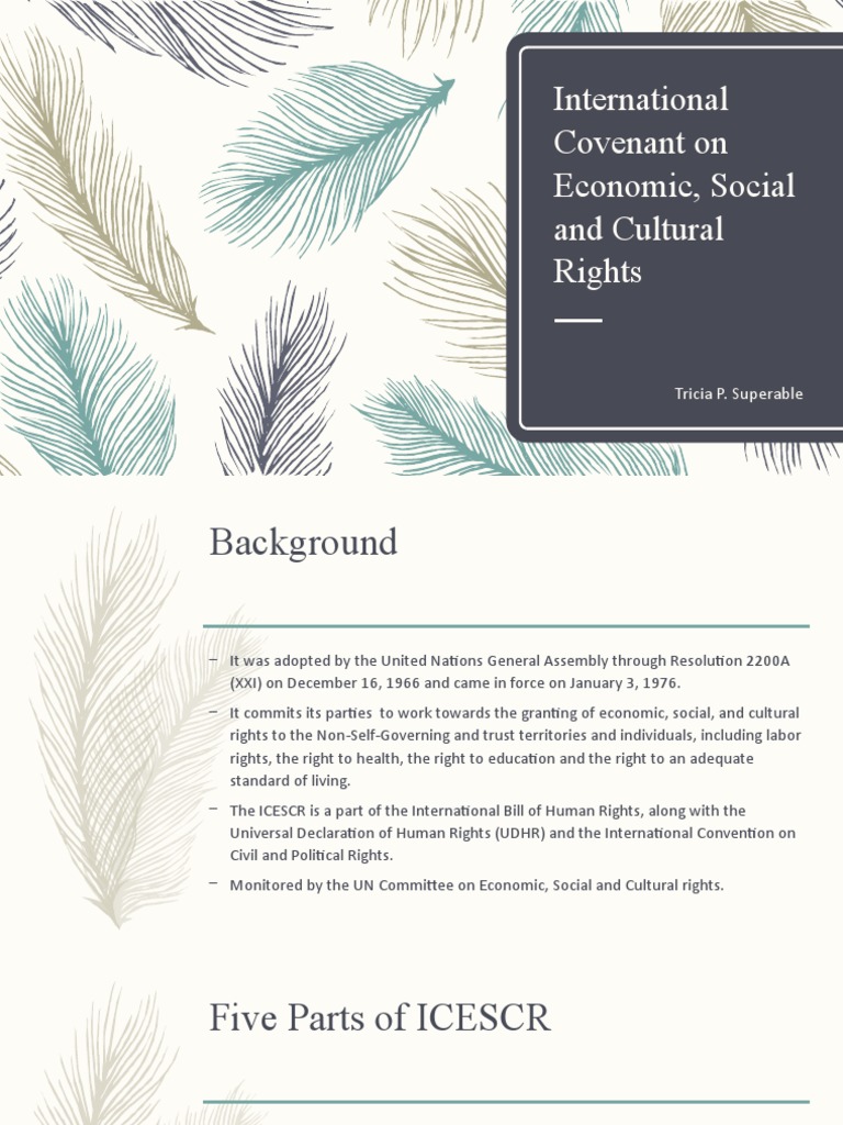 Overview of ICESCR and Its Provisions | PDF | Rights | Ethical Principles
