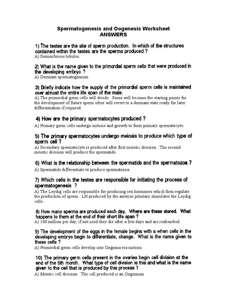 Spermatogenesis and Oogenesis Worksheet Answers | PDF | Luteinizing ...