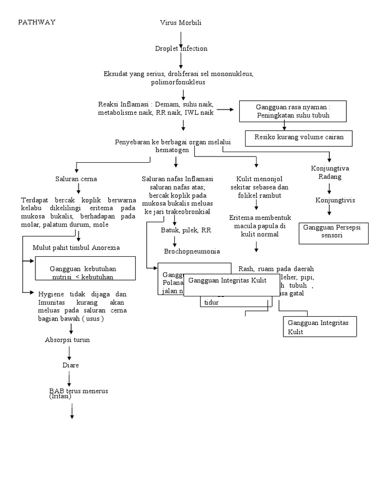 Dokumen - Tips Pathway Morbili New Print Defau | PDF