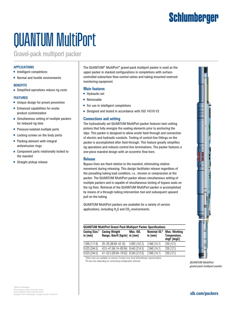 Quantum Multiport Packer | PDF | Pipe (Fluid Conveyance) | Machines