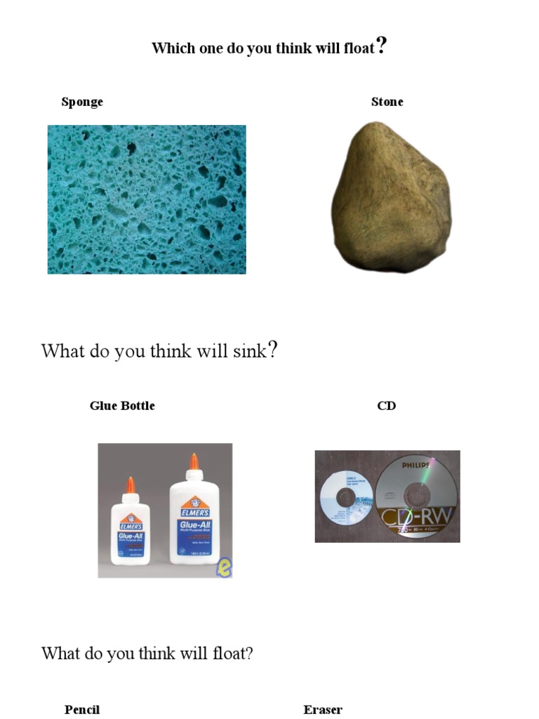 Question and Answer (Sink and Float) | PDF | Home & Garden