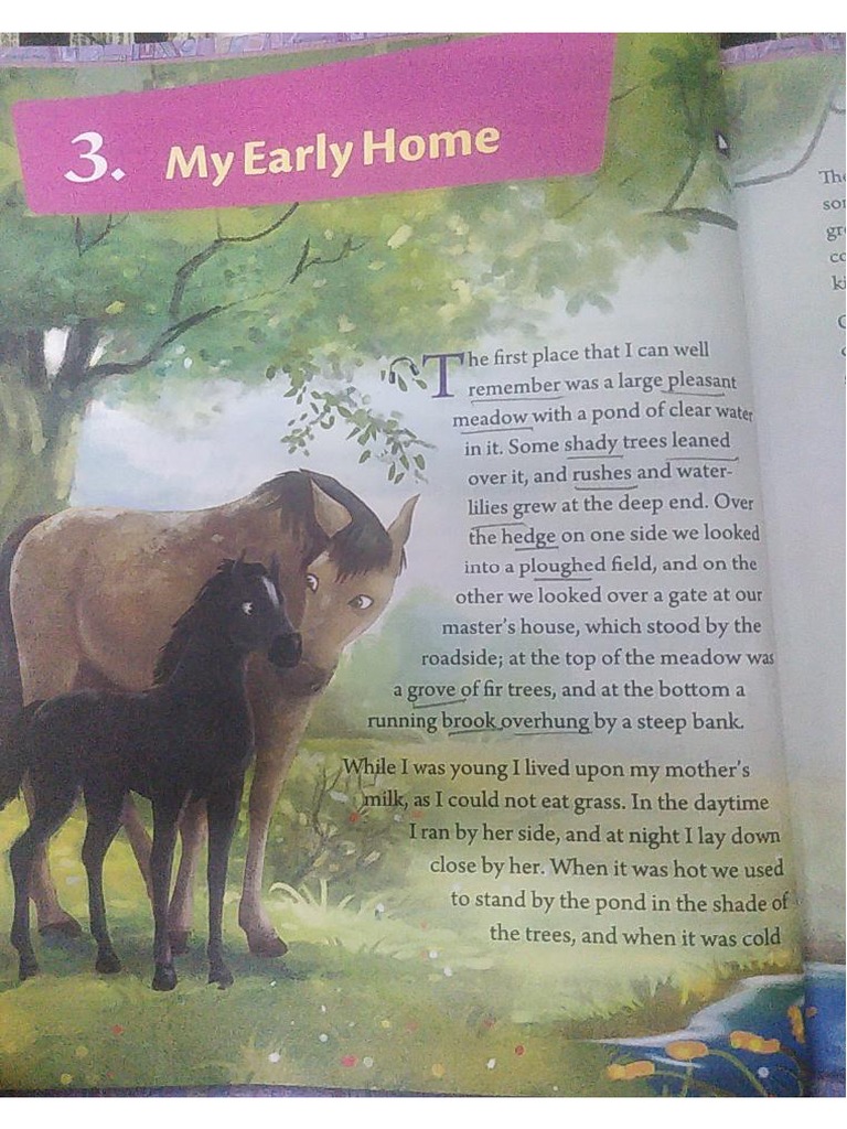 My Early Home | PDF