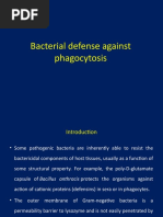 Gram Positive Cocci Flow Chart | PDF | Streptococcus | Prokaryote