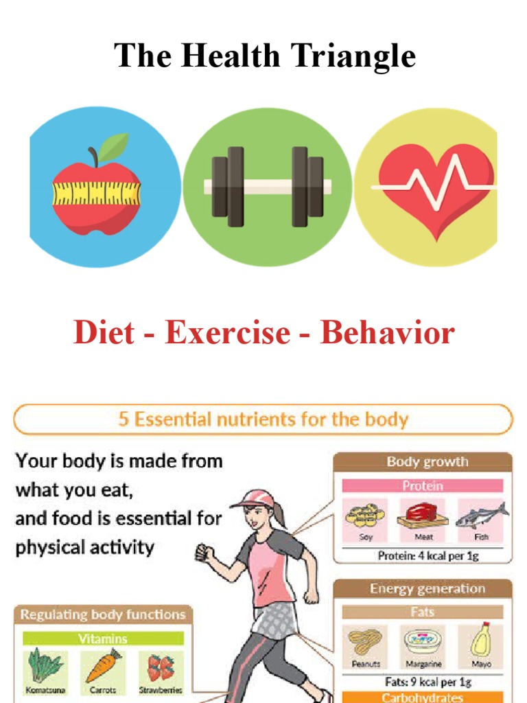The Health Triangle: Diet - Exercise - Behavior | PDF