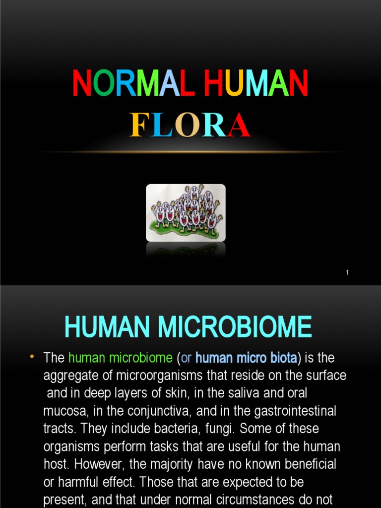 Normal Flora of Human | PDF | Staphylococcus | Bacteria