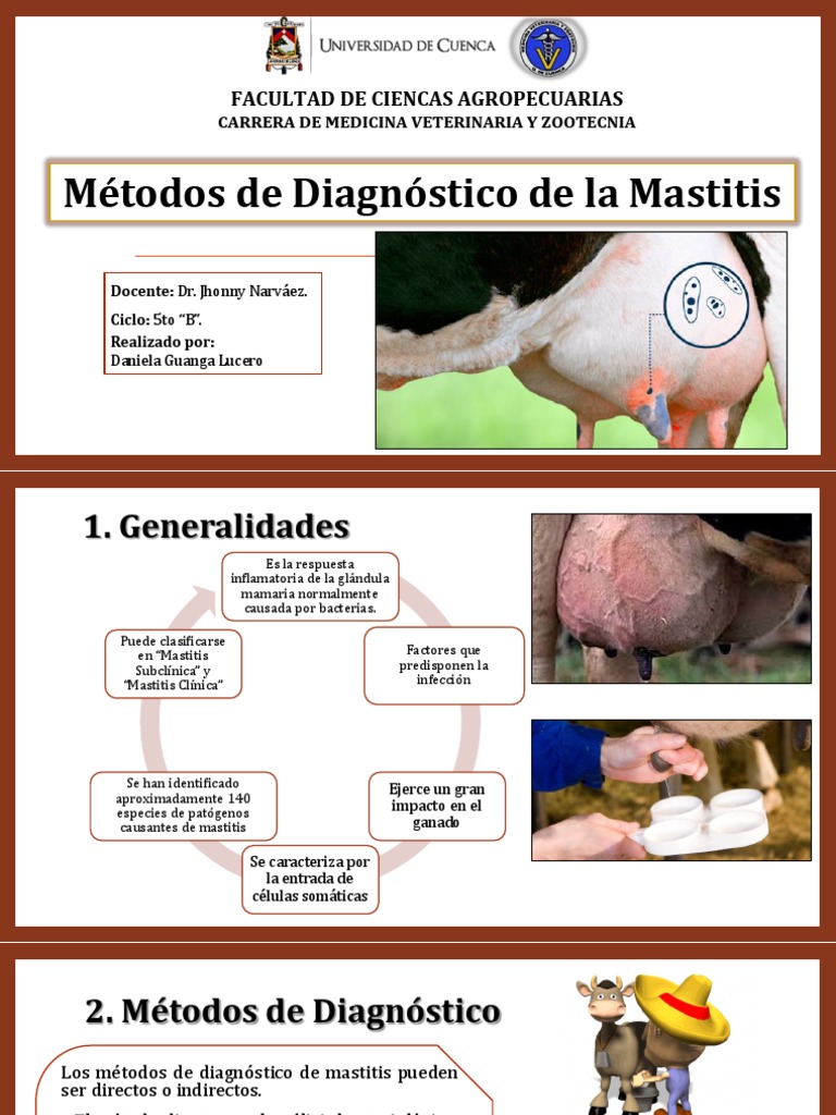 Diagnóstico de La Mastitis | PDF | Leche | Penicilina