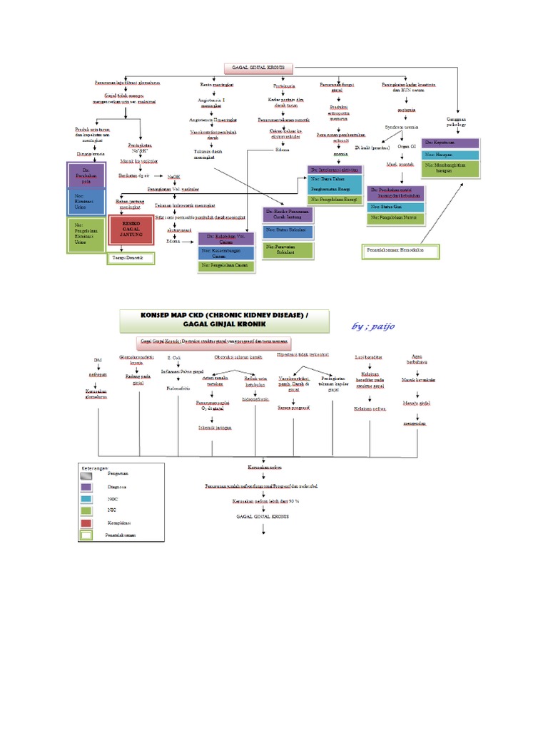 Patofisiologi CKD | PDF
