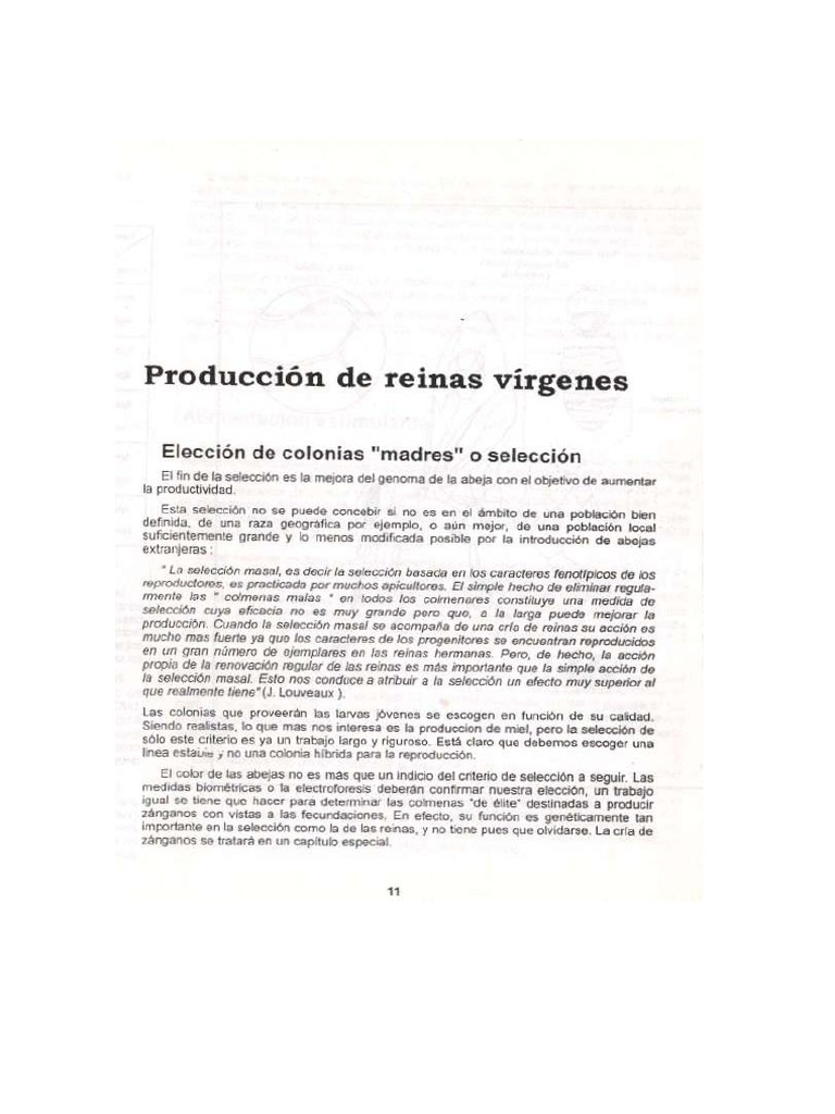 22 Libro Cria Reinas Giles Fert | PDF