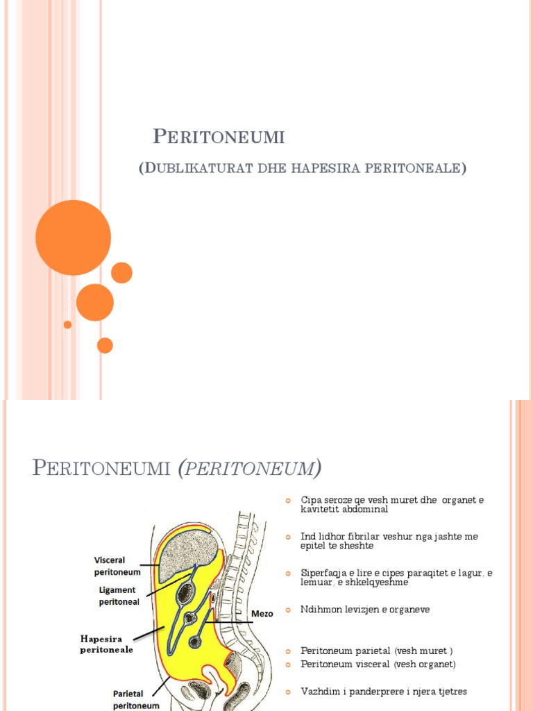 Peritoneum I | PDF
