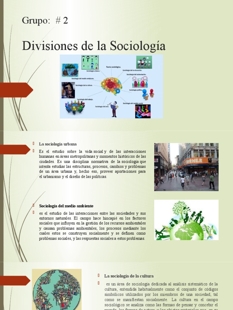 Divisiones de la Sociología | PDF | Sociología | Sociedad