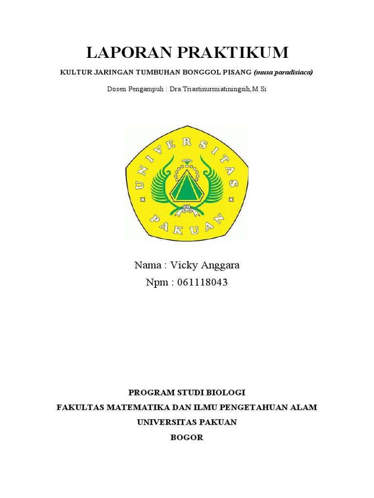 Laporan Praktikum Kuljar - Vicky Anggara - 061118043 | PDF