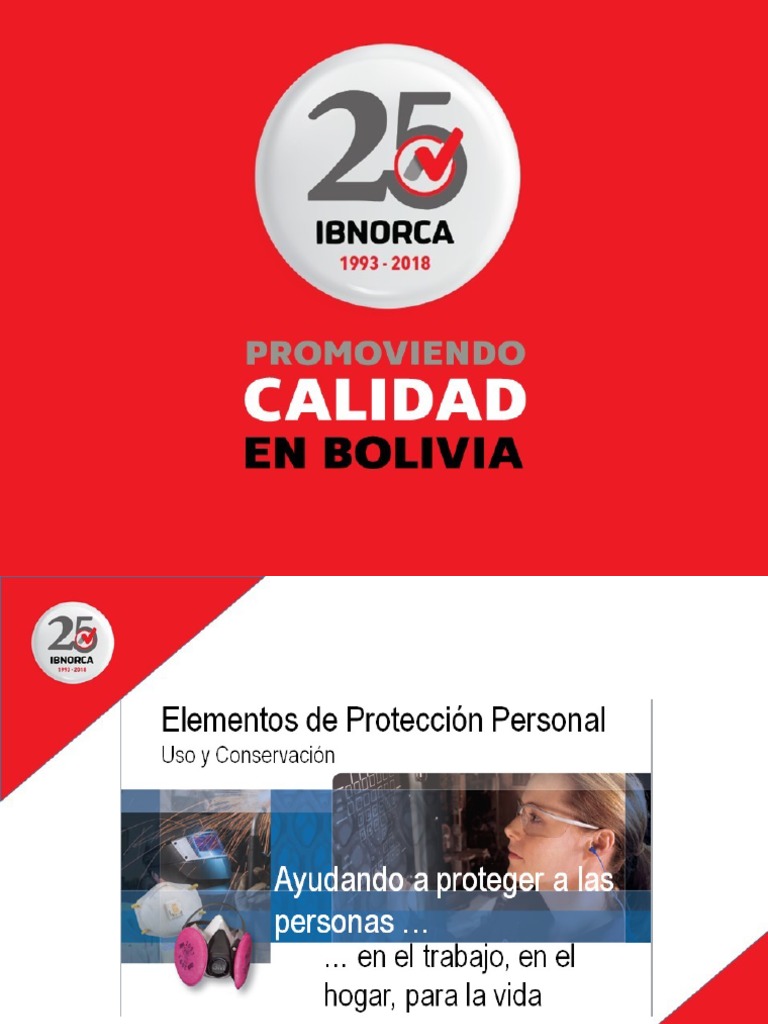 Curso de EPP II | PDF | Administración de Seguridad y Salud Ocupacional ...