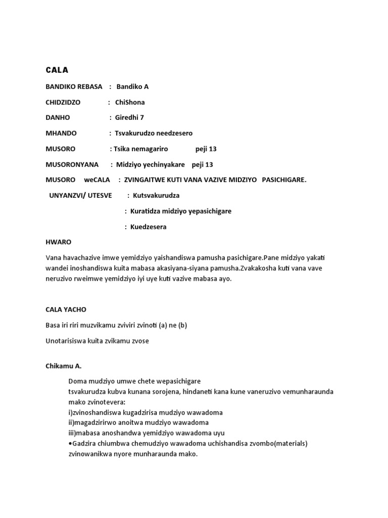 STUDENT SHONA CALA - Docx..bak | PDF | Bantu | Tone (Linguistics)